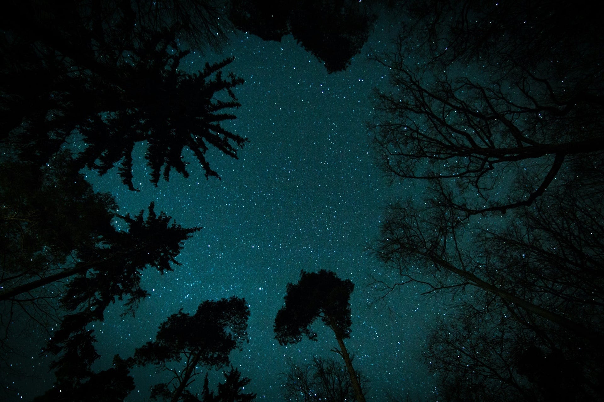 Grounding After Dark: Harness Earth’s Energy for Restful Sleep ...