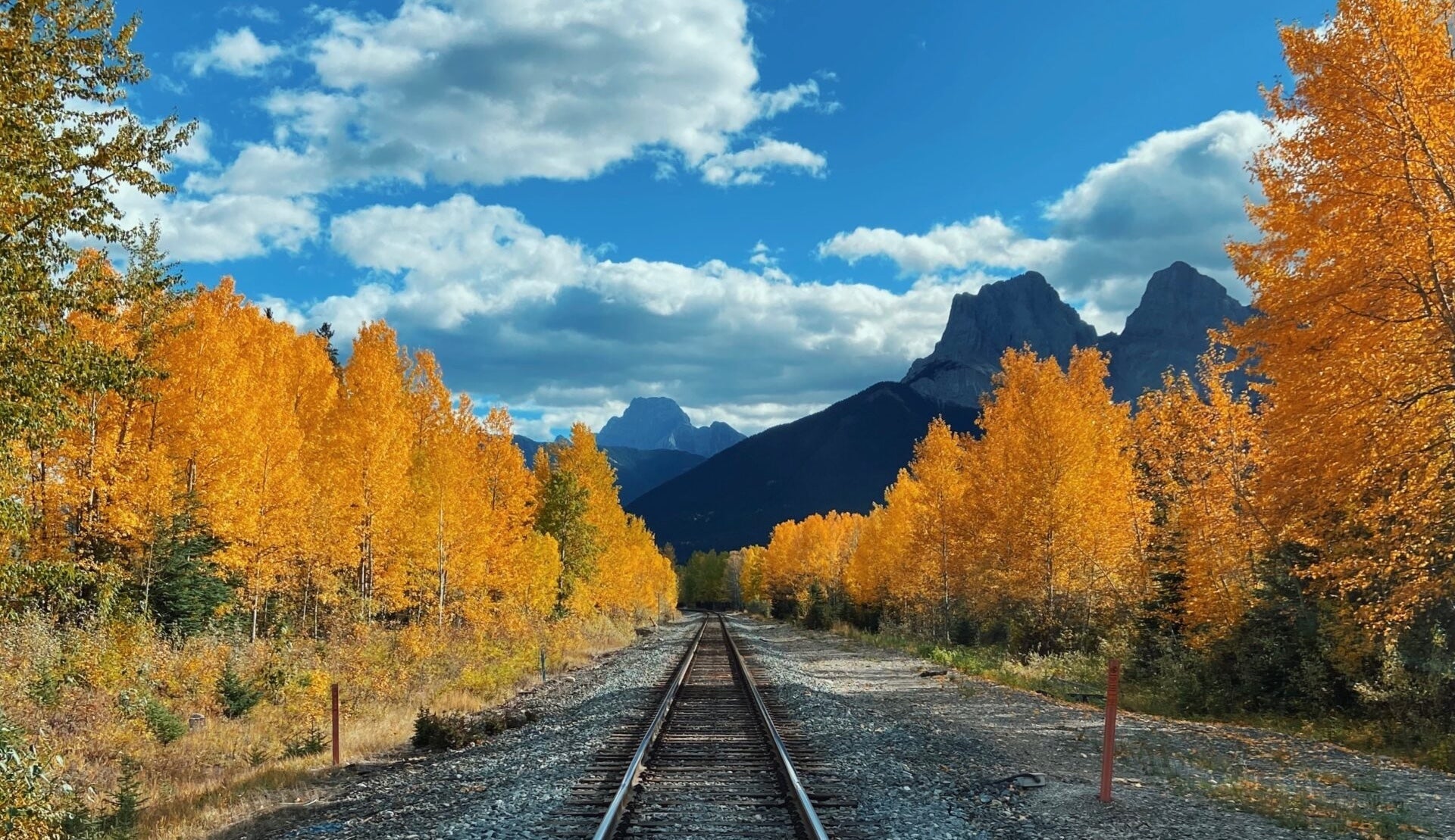 Welcoming Autumn: How to Stay Grounded as the Seasons Change – Earthing ...